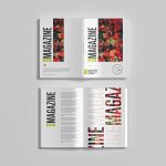 Free Mockup Zone - The Best Mockup Collection of the World